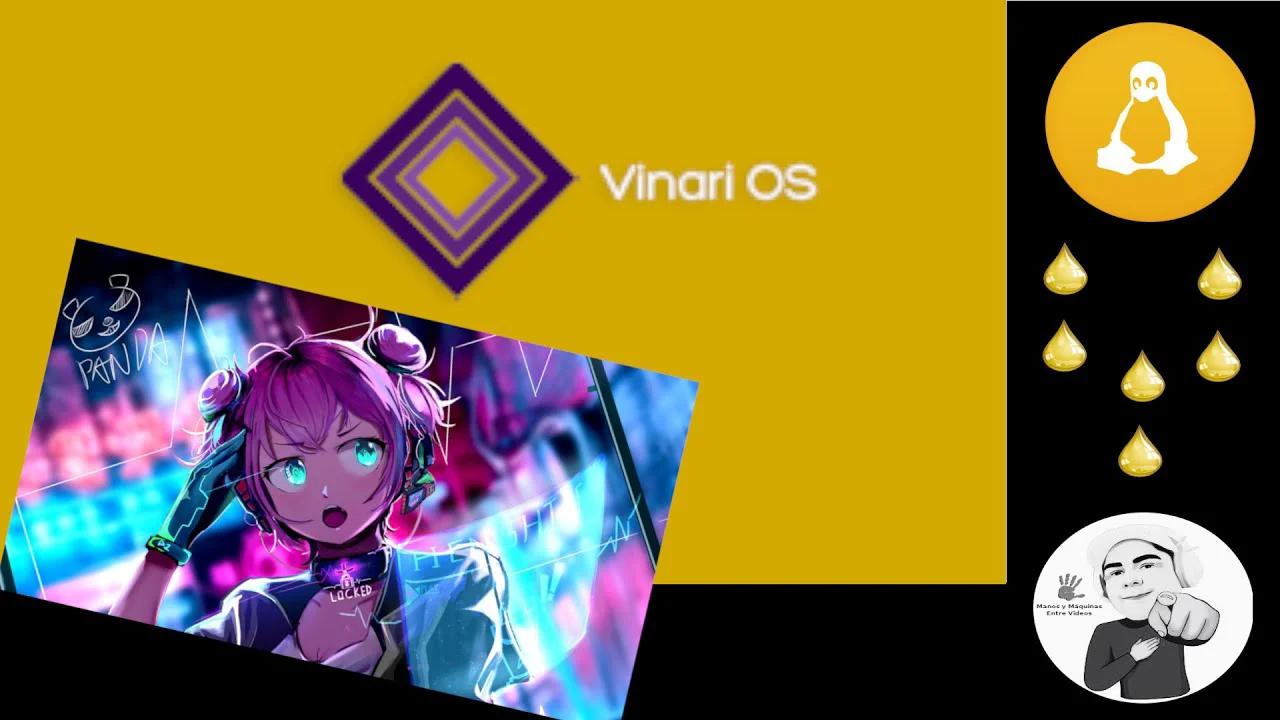 Vinari OS Distribución con Base Debian . 😜