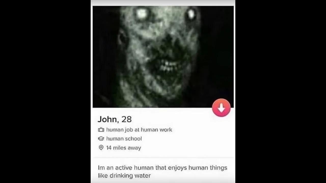 Full Stop Punctuation