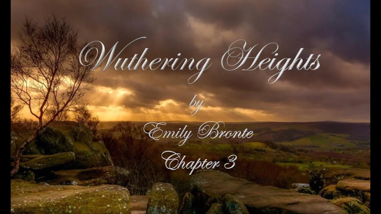 Wuthering Heights by Emily Bronte - Chapter 3