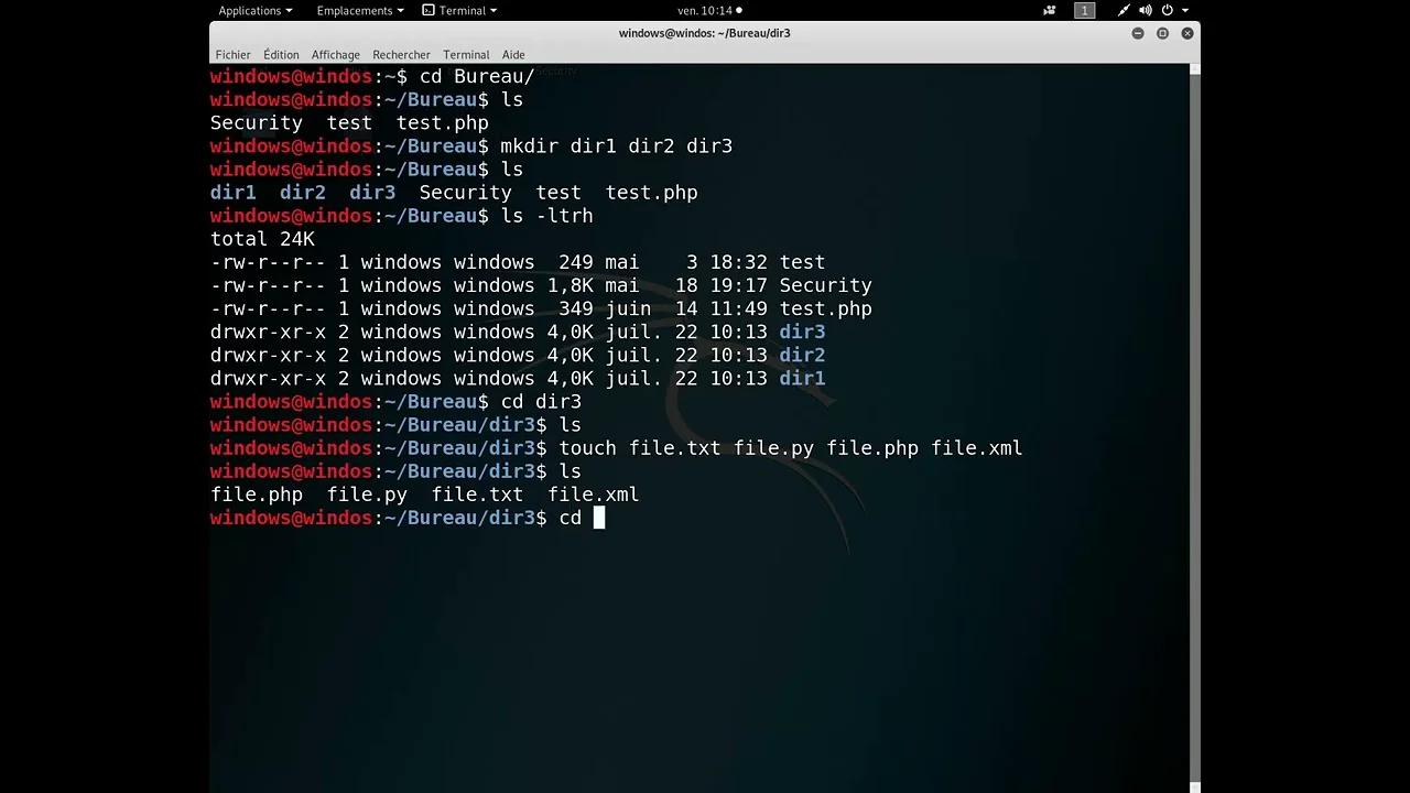 Delete Files And Folders In Linux