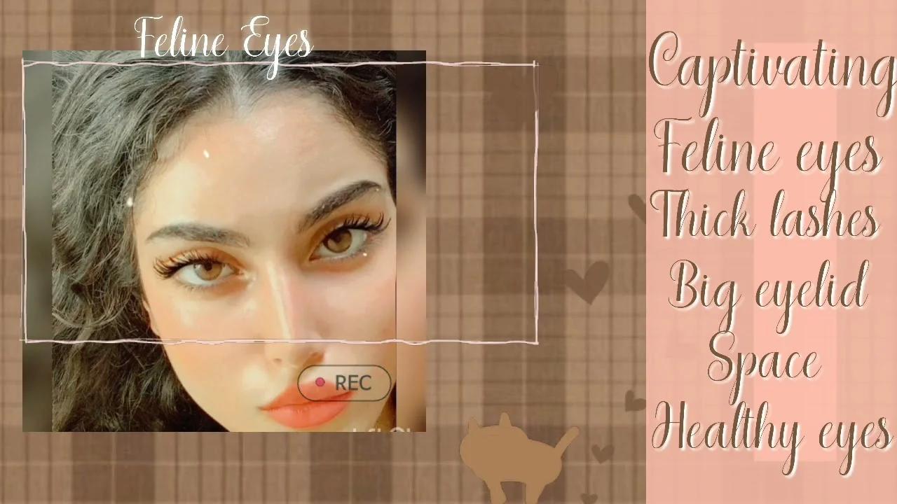 Feline Eyes & Lash Extension Lashes