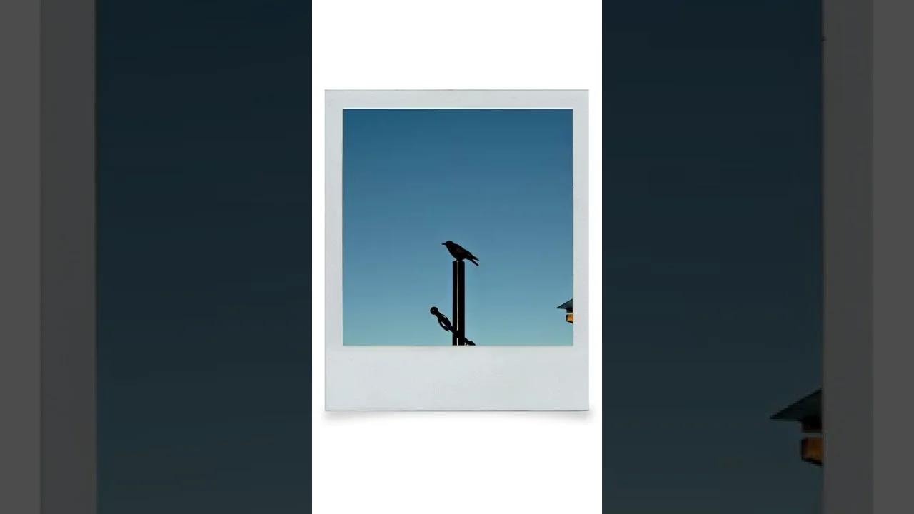 Pro Negative Plus Film Simulation Recipe | #Shorts