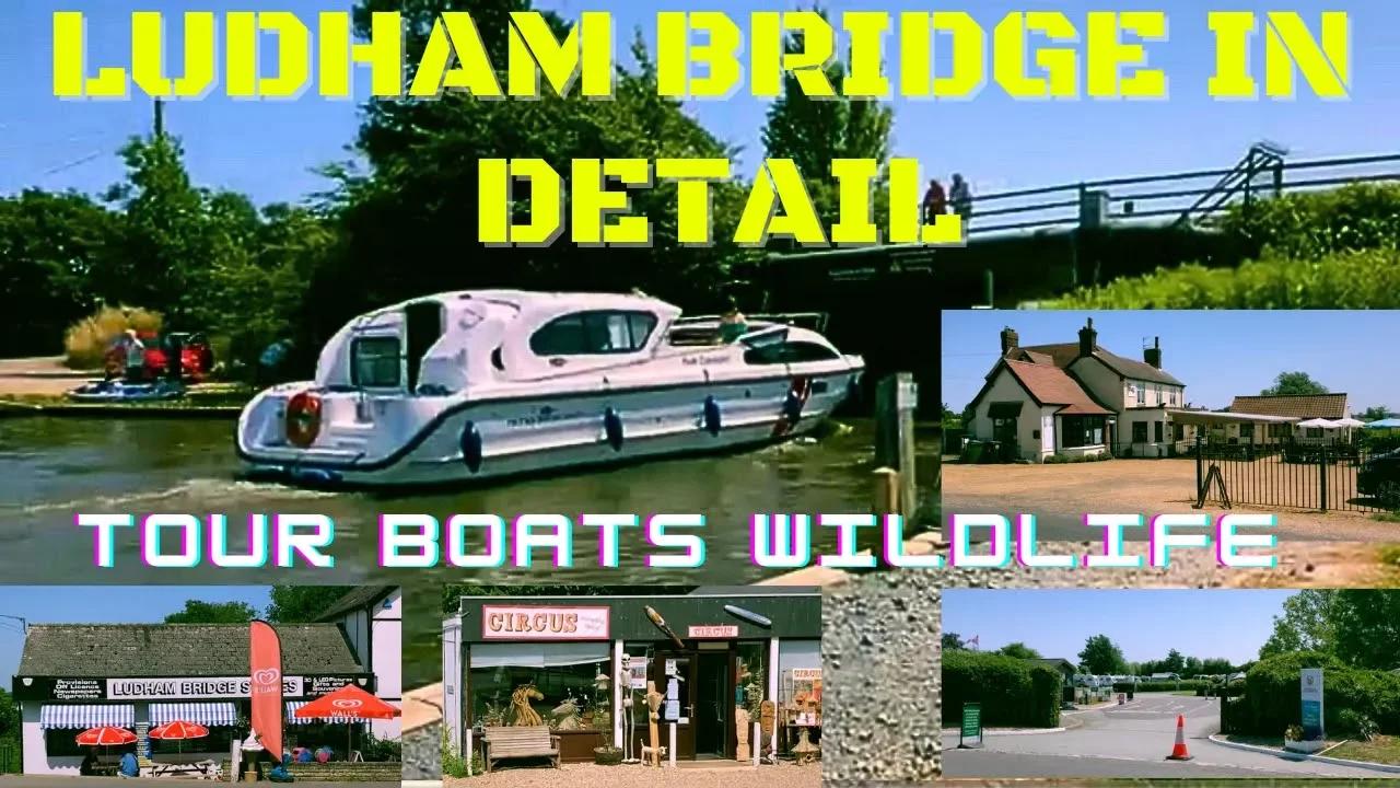 Ludham bridge tour & boat watching wildlife Norfolk broads #boating # ...