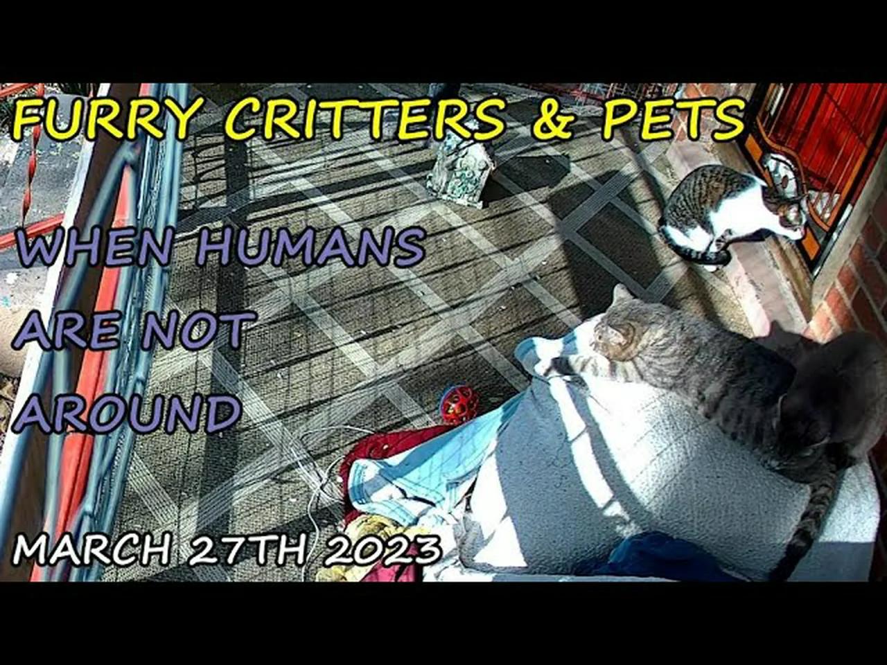 Furry Critters & Pets March 27th 2023