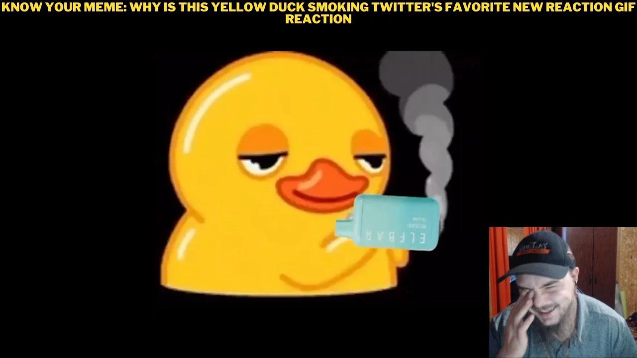 Know Your Meme: Why Is This Yellow Duck Smoking Twitter's Favorite New ...