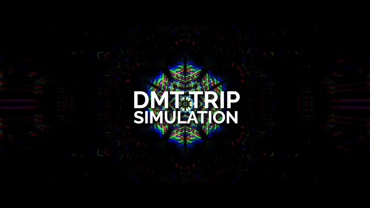 DMT Trip Simulation / Subbreakthrough / DMT VISUALS