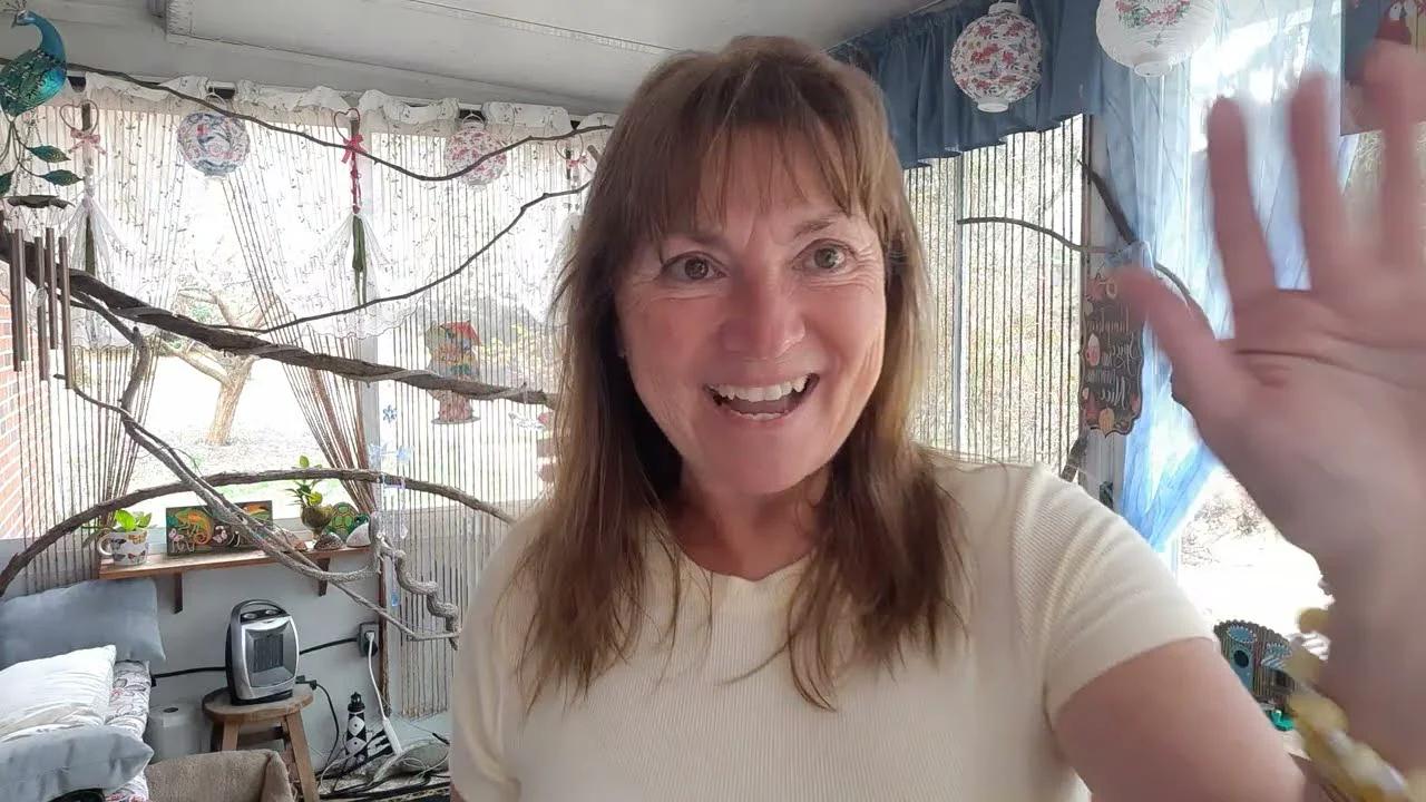 Video 194 The Brain Stick Matrix