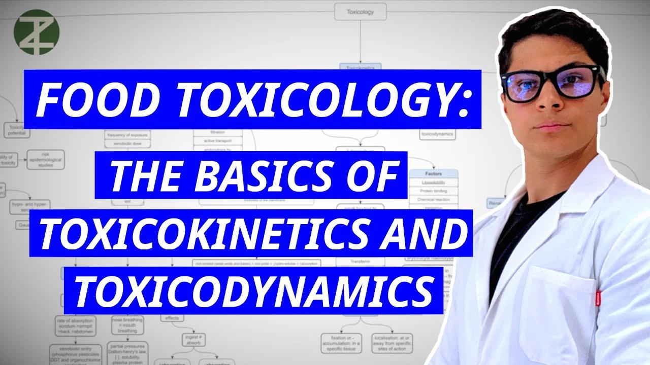 The Basics of Toxicology: Exploring Toxicokinetics and Toxicodynamics