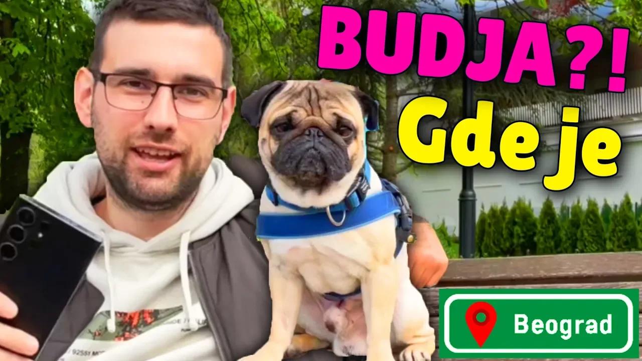 Gde je Budja ?! 🐕