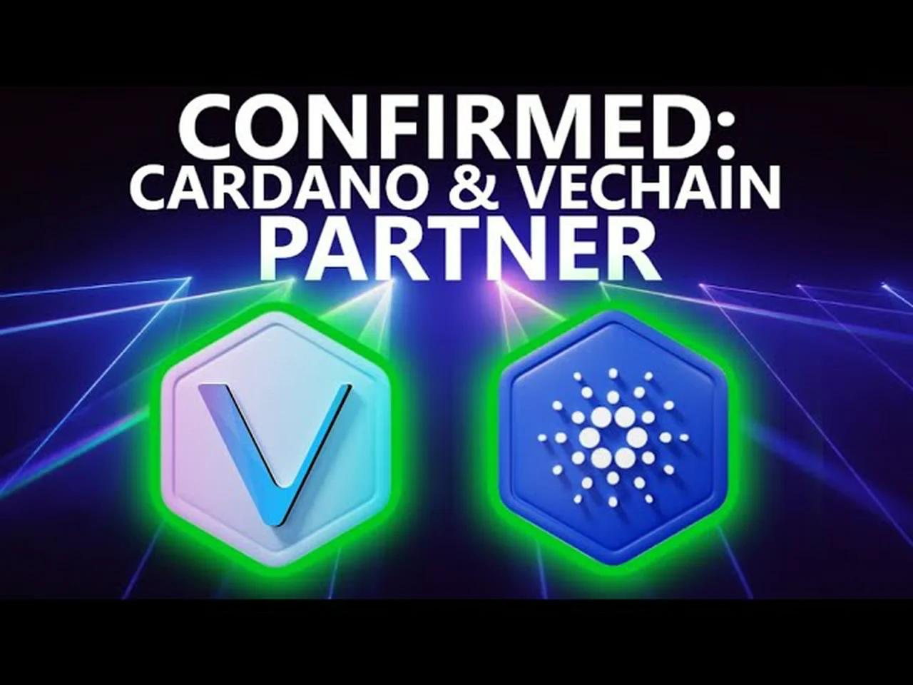 CONFIRMED: CARDANO & VeChain TEAM UP