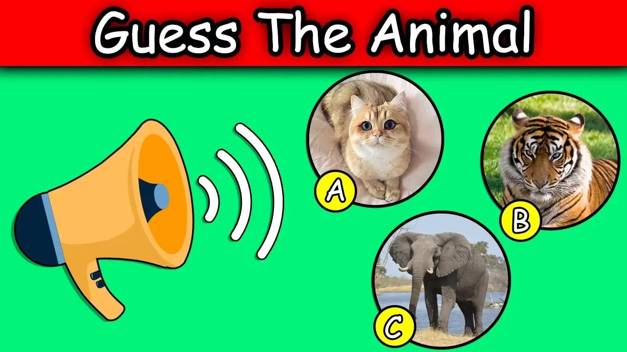 Guess The Animal From The Sound (Animal Quiz)