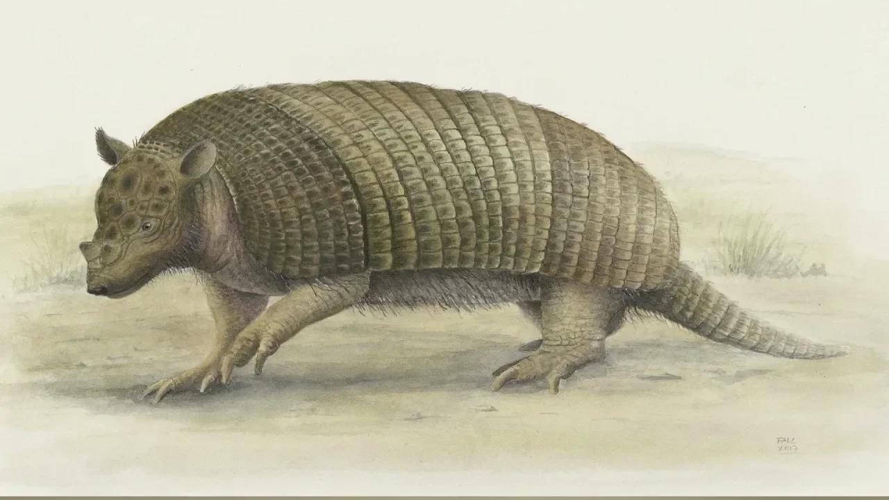 Peltephilus - TATU com CHIFRES