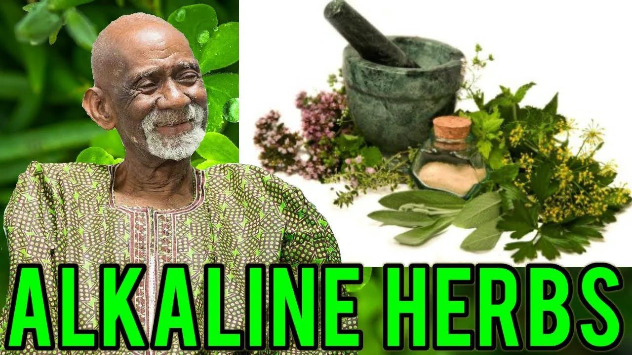 Dr Sebi Reveals Electric Alkaline Herbs