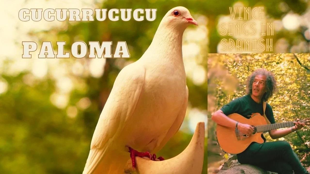 Vince Sings in Spanish | Cucurrucucu Paloma