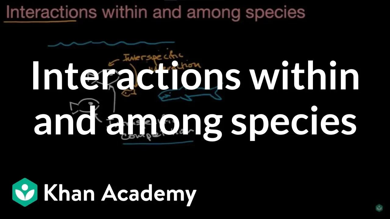 Interactions within and among species | High school biology | Khan Academy Interactions within and among species | High school biology | Khan Academy