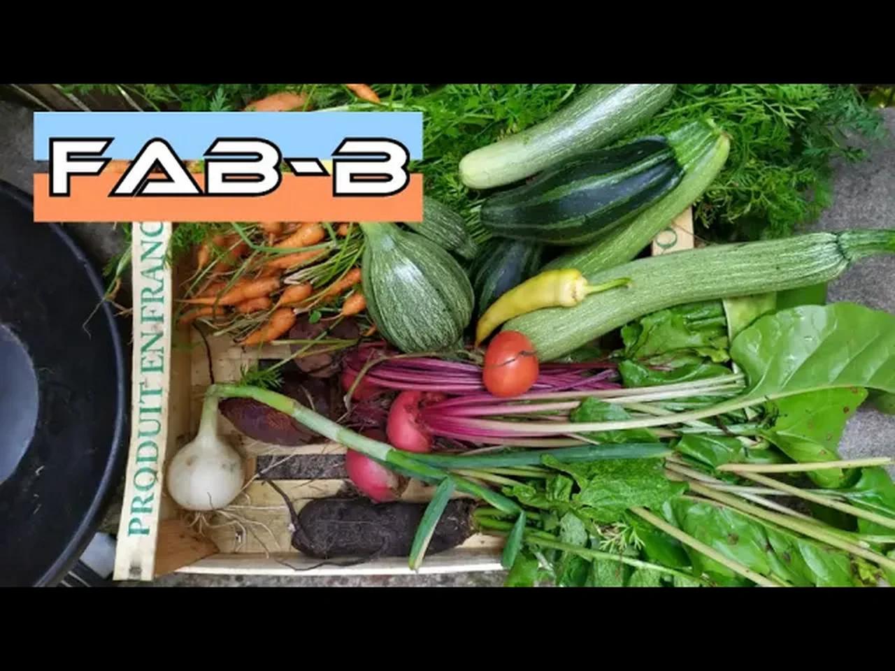 Les jardins de FAB-B : Épisode 7