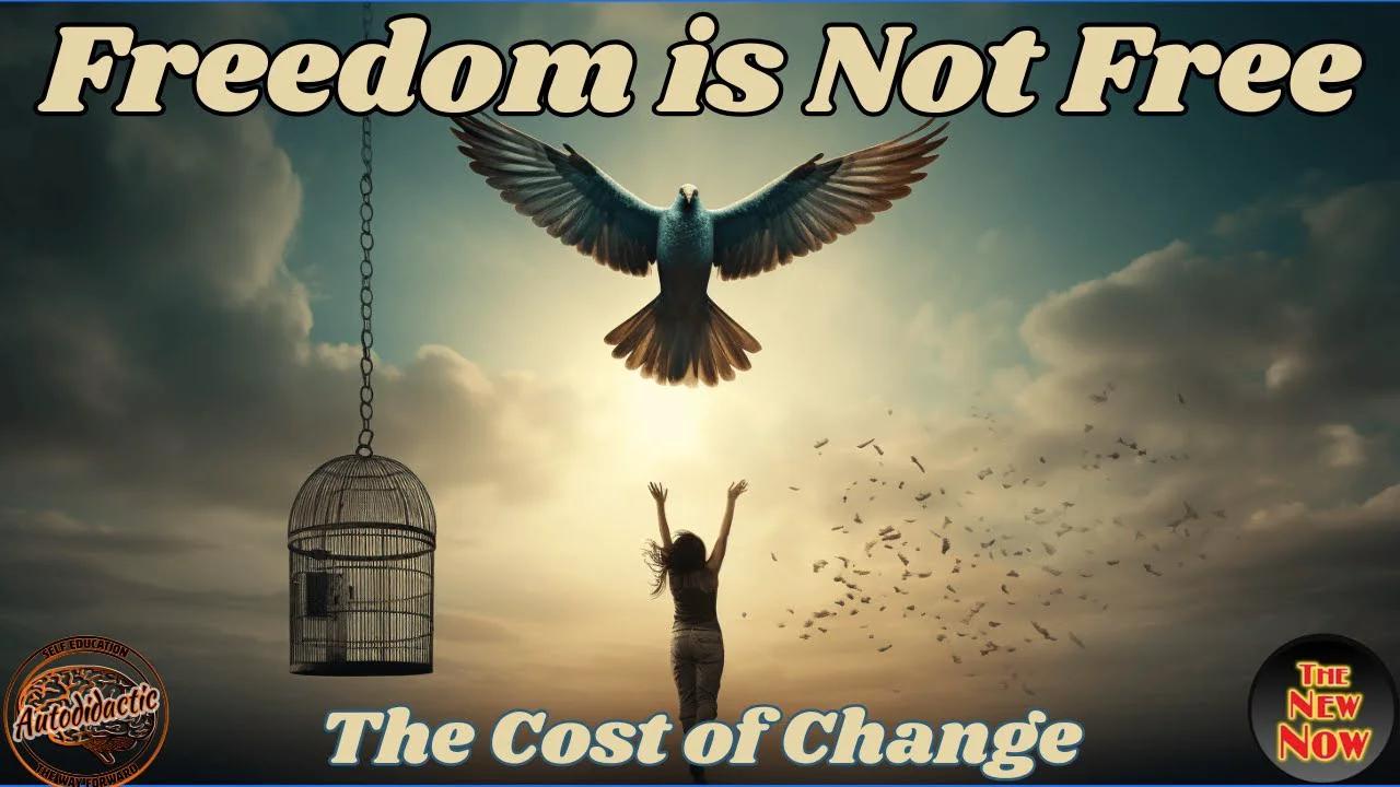 Freedom is Not Free