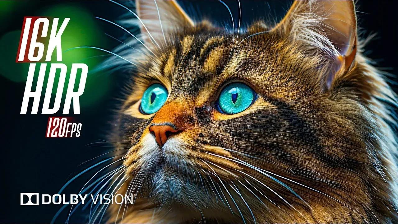 16K Video ULTRA HD - Dolby Vision HDR 120FPS
