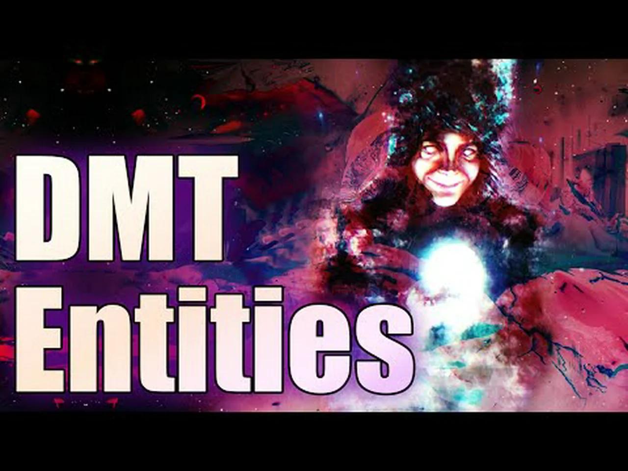 6 DMT Entities