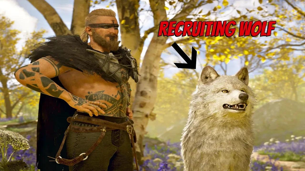 Assassin's Creed Valhalla - Saving & Becoming Friends With Wolf Mission ...