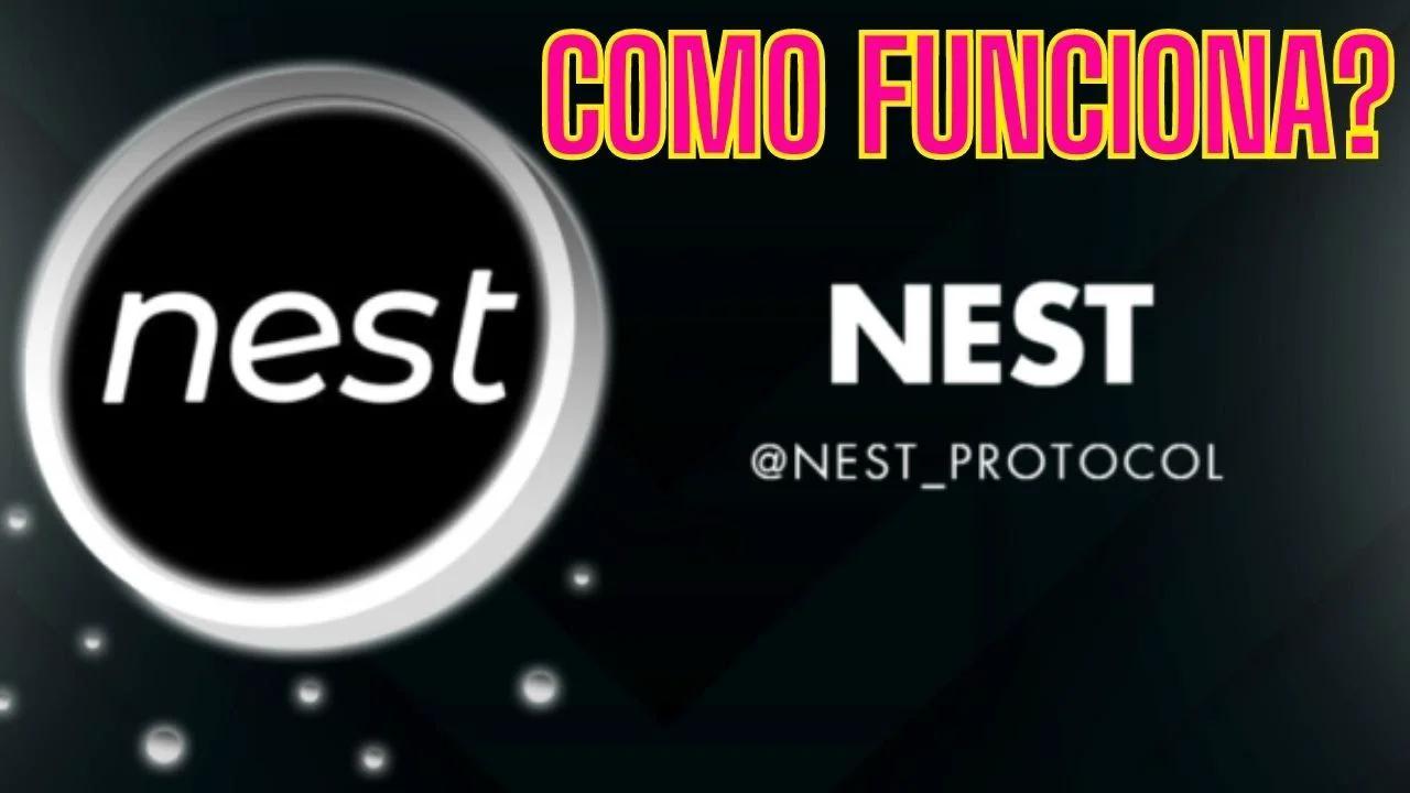 NEST PROTOCOL FINANCE COMO FUNCIONA