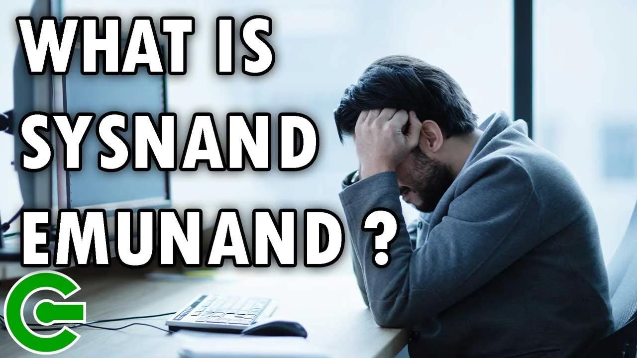 WHAT IS SYSNAND AND EMUNAND