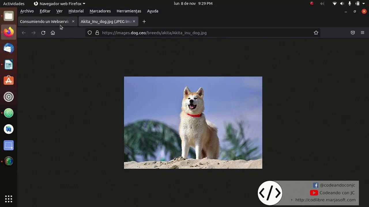 Descargar una Imagen con JavaScript. Html, Js.