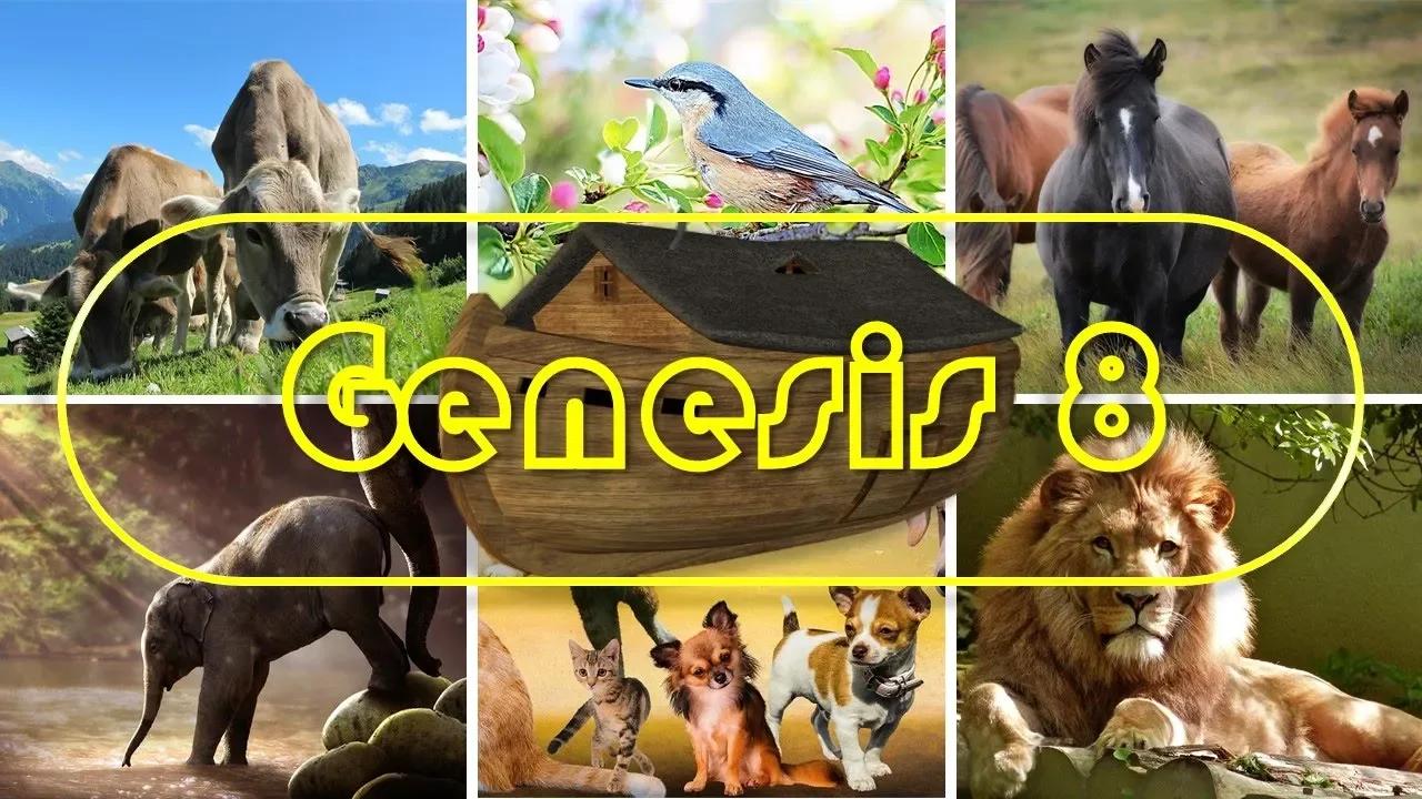 Genesis Chapter 8 ~ Bible Study Quiz