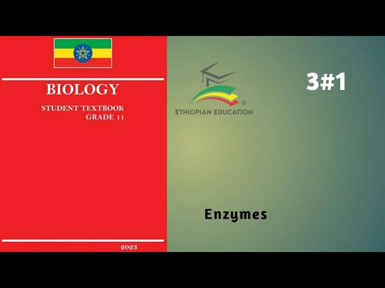 Ethiopian Grade 11 Biology 3#1 Enzymes