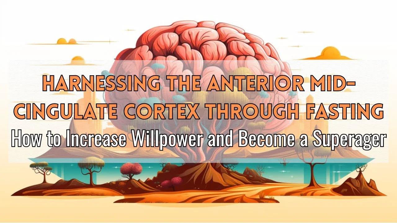 Boost the Anterior Mid-Cingulate Cortex Through Fasting: Increase ...