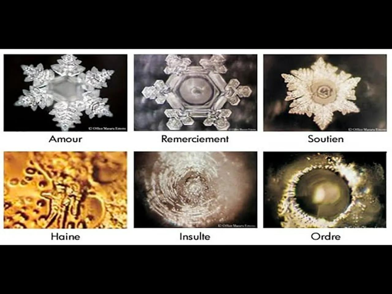 LOS SECRETOS DEL AGUA.Con Masaru Emoto.
