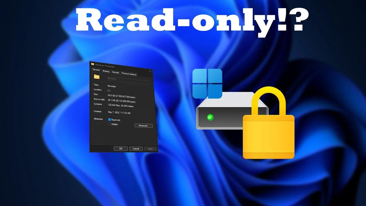 Read Only Windows 11
