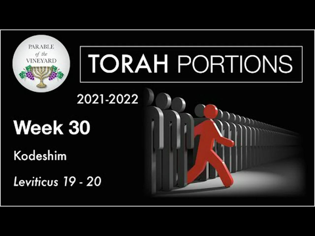 Torah Portions - Week 30 - Kodeshim - Leviticus 19-20 (2021-2022)