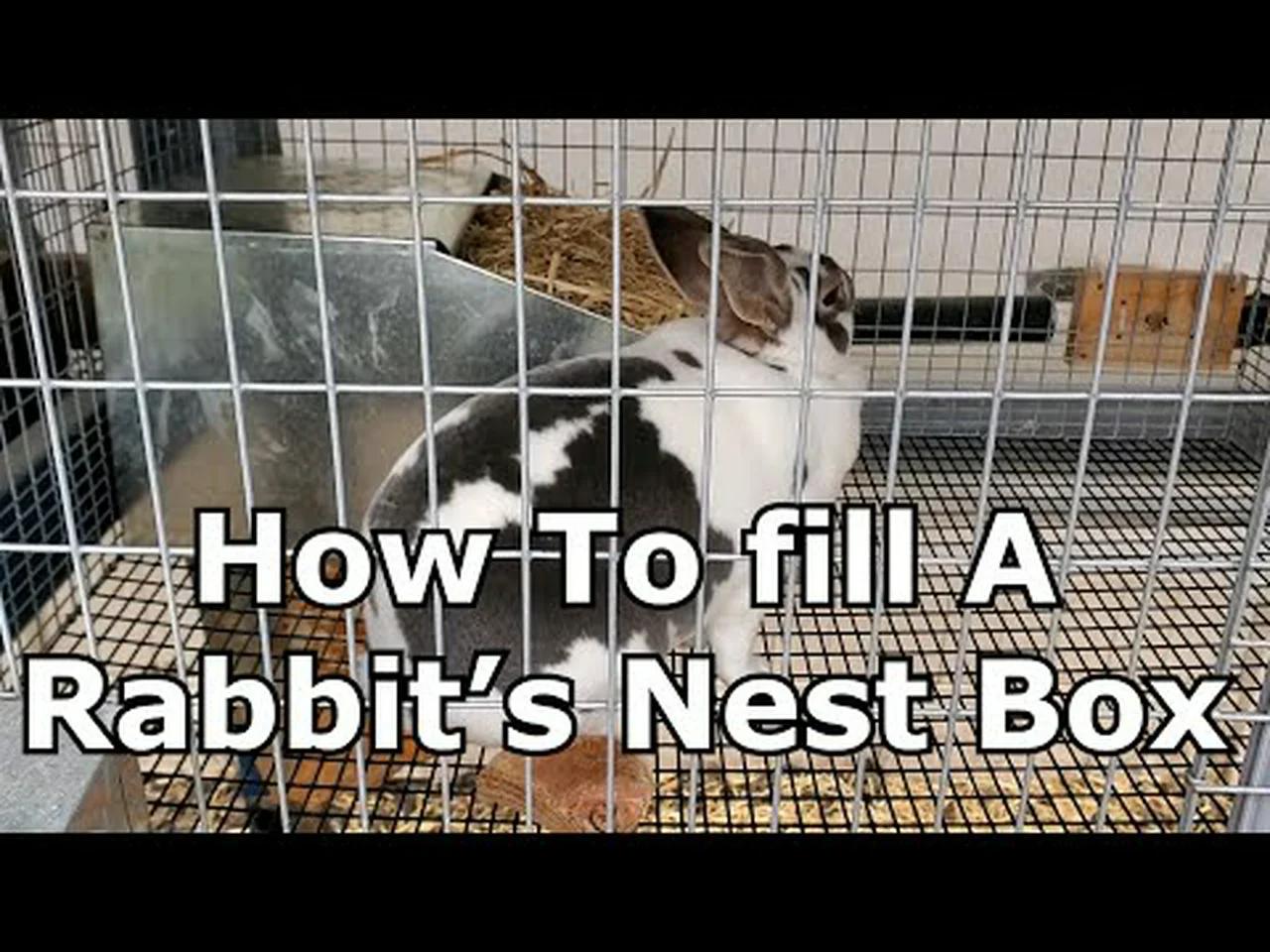 How To fill A Rabbits Nest Box