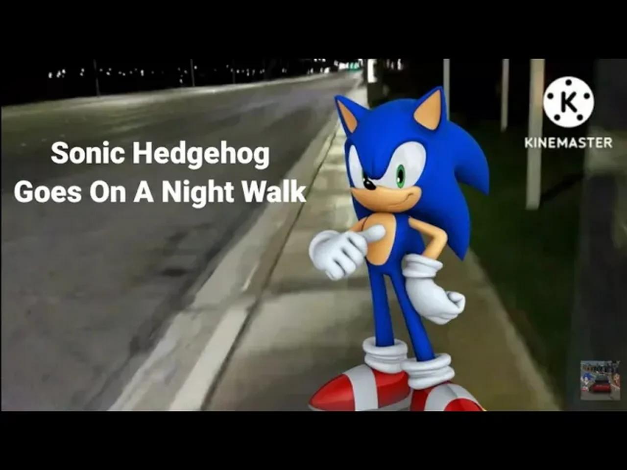 Sonic Hedgehog Goes On A Night Walk At Night (Full Quiet Night Walk Video)