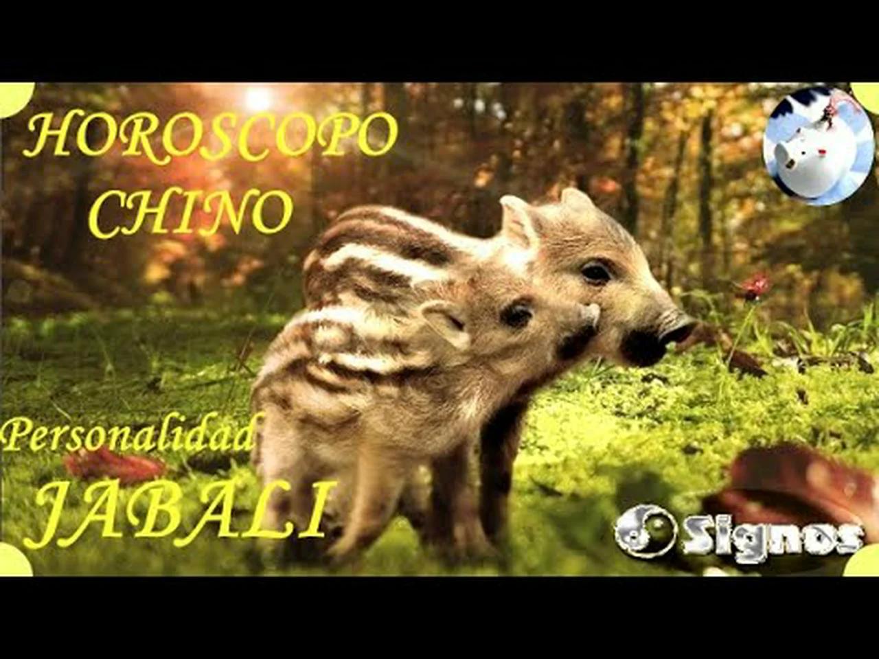 🉐HOROSCOPO CHINO - La Personalidad 🐖 JABALI - Descubrela!