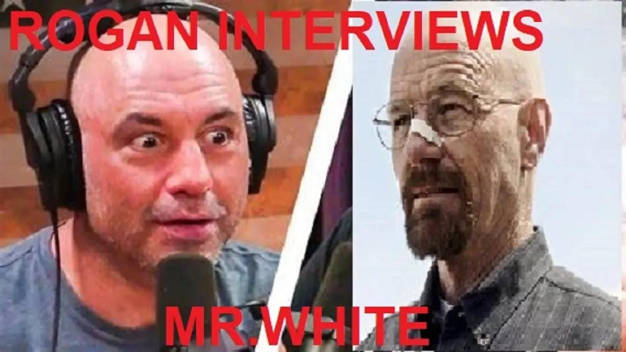 JOE ROGAN INTERVIEWS BRYAN CRANSTON