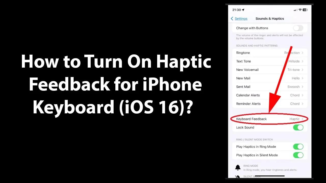 How to Turn On Haptic Feedback for iPhone Keyboard (iOS 16)?