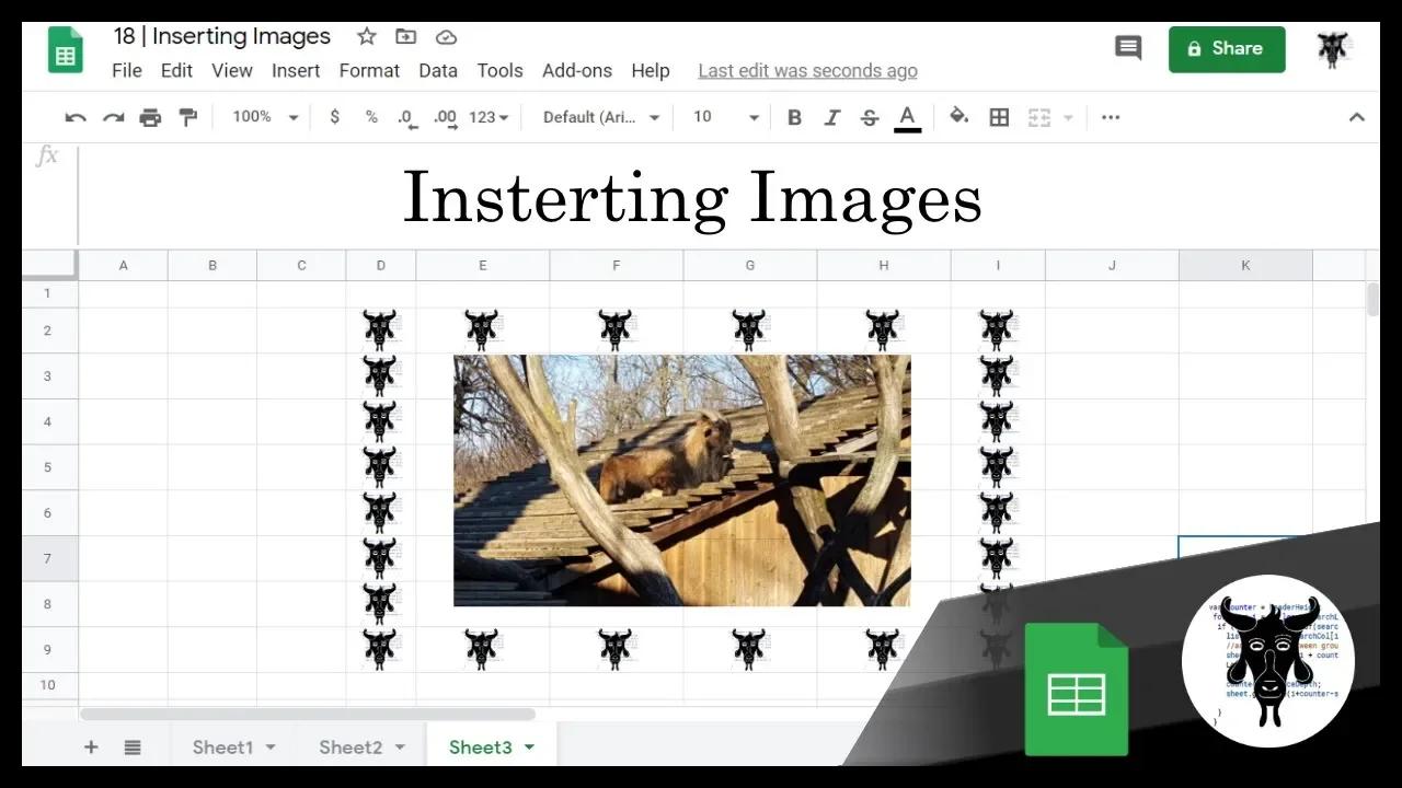 Google Sheets Beginners - Inserting Images (18)
