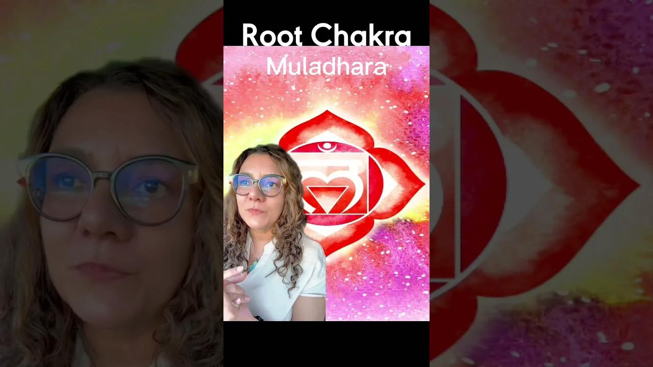 The root chakra is the most important chakra of all the chakras in my ...