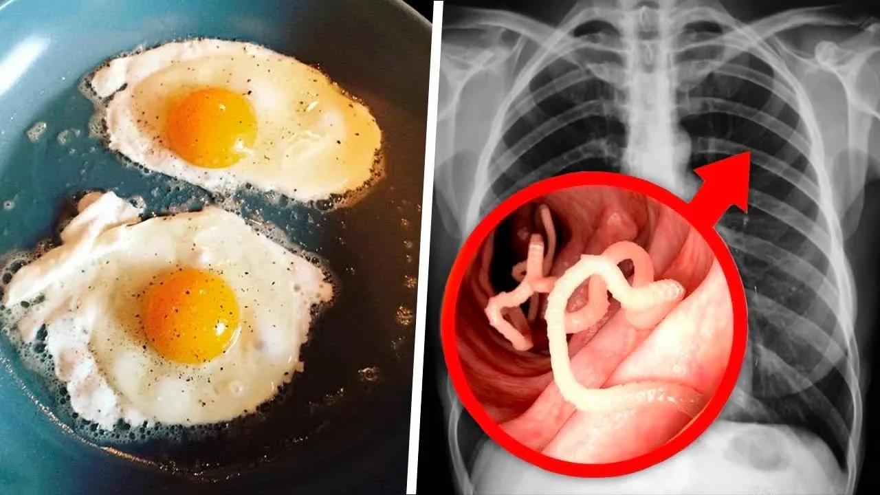 12 Comidas Proibidas e Perigosas Que Você Jamais Deveria Comer