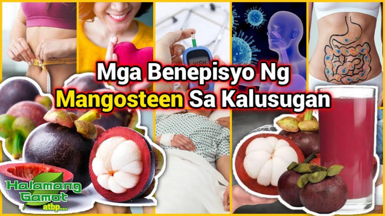 Mga Benepisyo Ng Mangosteen Sa Kalusugan | Halamang Gamot ATBP