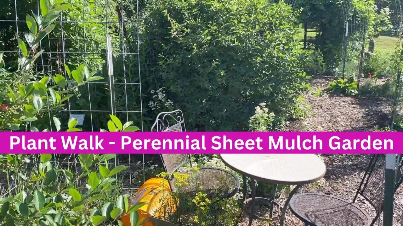 Plant Walk - Perennial Sheet Mulch Garden