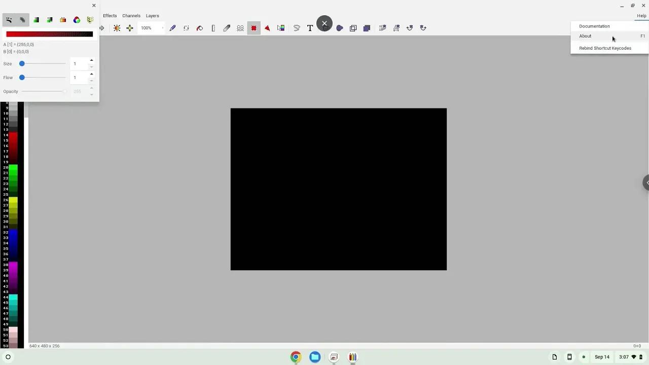 How to install mtPaint on a Chromebook