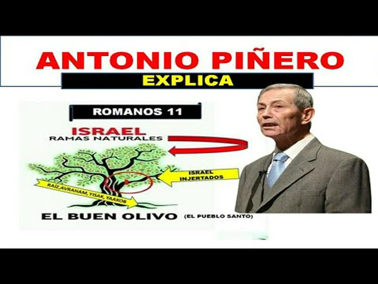 ANTONIO PIÑERO EXPLICA ROMANOS 11 LA INJERCIÓN EN ISRAEL