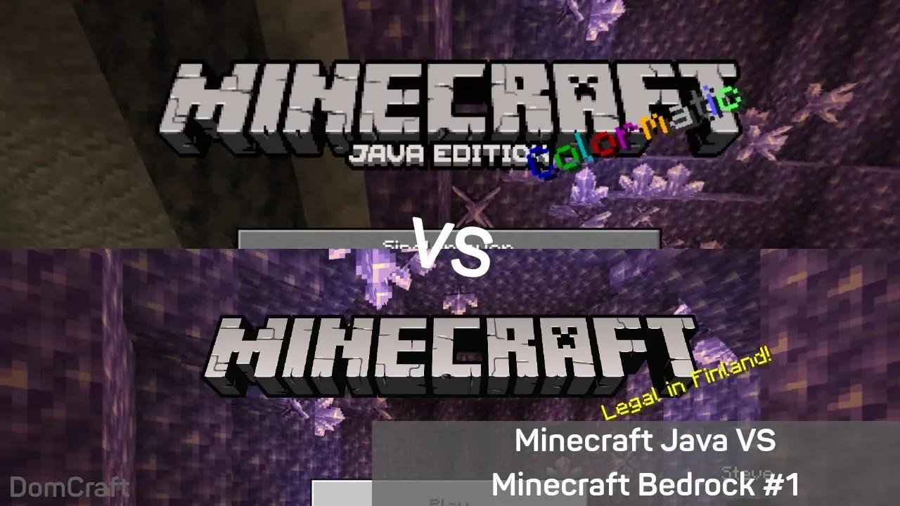 Minecraft Java VS Minecraft Bedrock #1