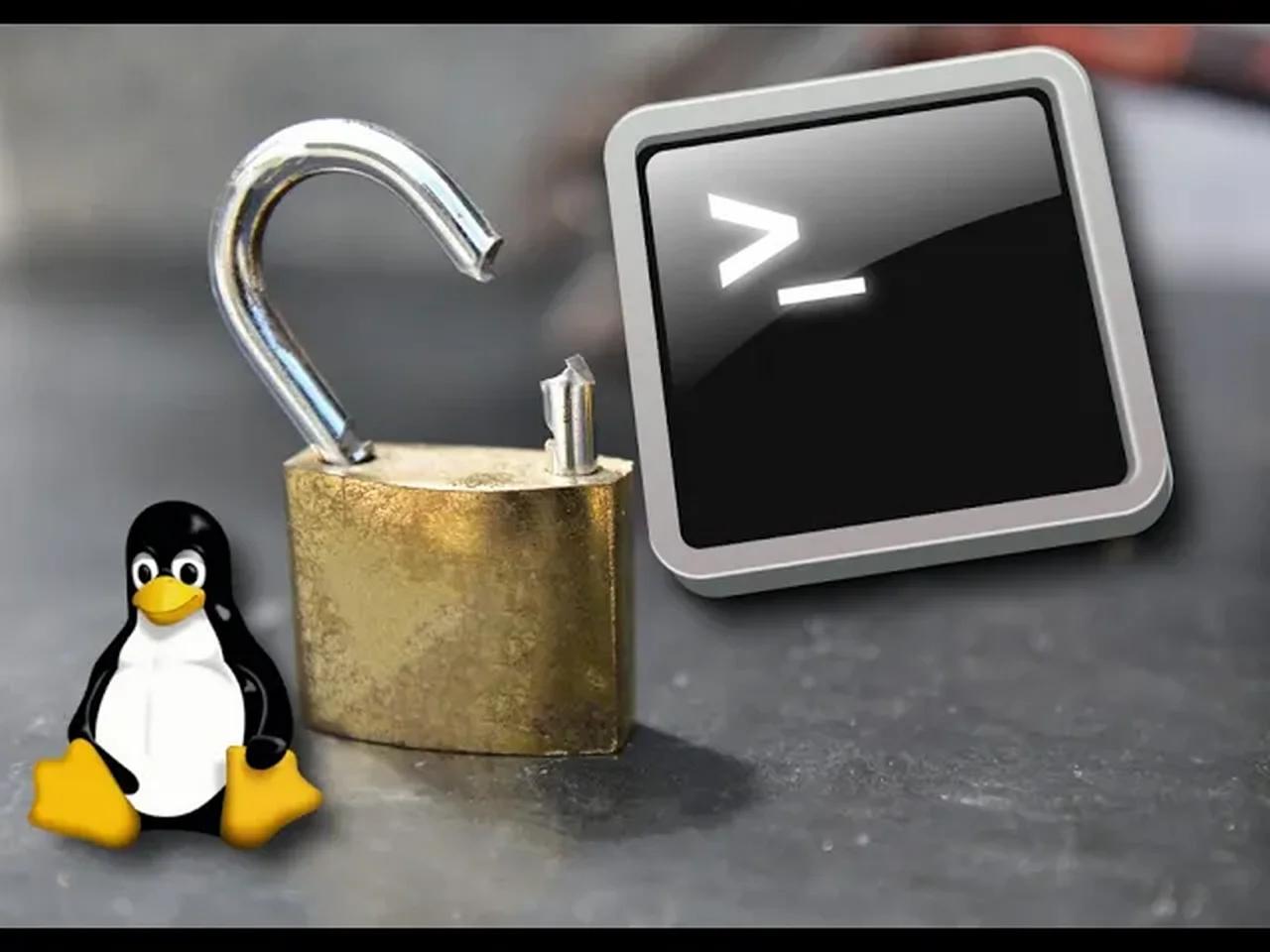 Beginner Intro Linux Permissionsprivileges Demo Polkit Exploit