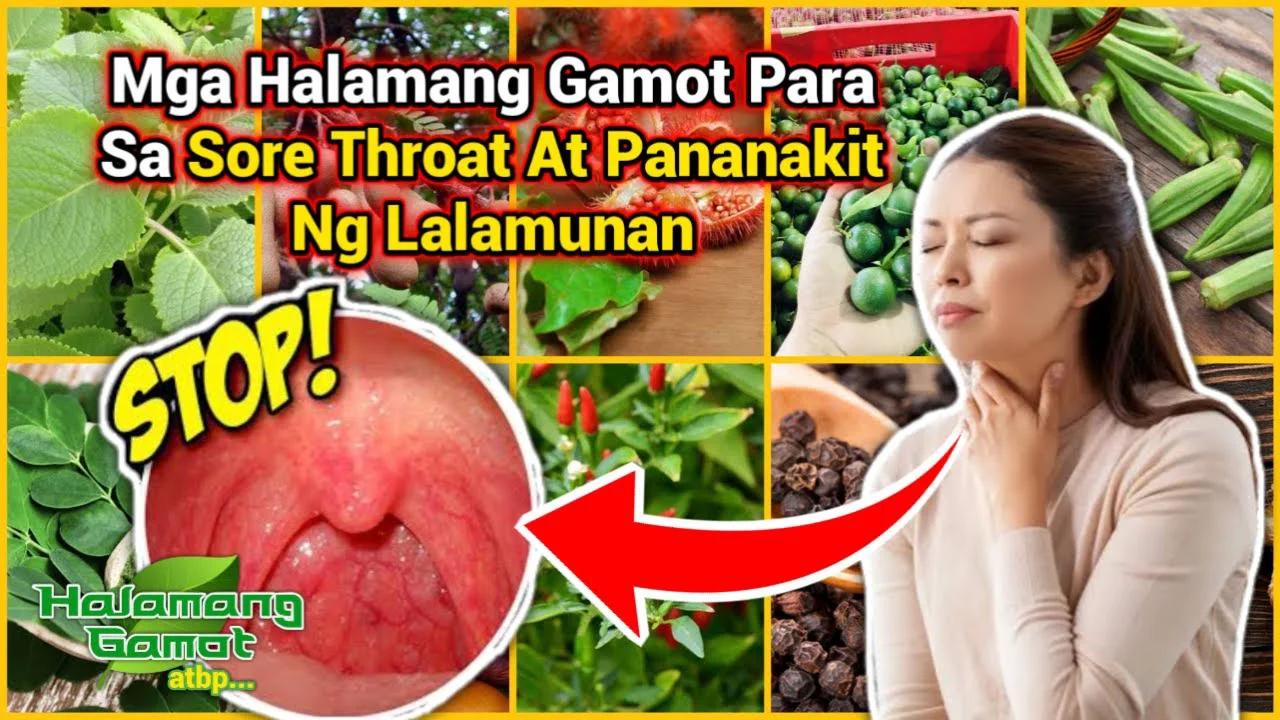Mga Halamang Gamot Para Sa Sore Throat At Pananakit Ng Lalamunan ...