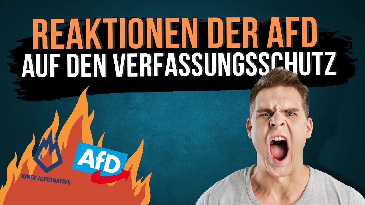 So heftig reagiert die AfD und ihre Fans auf das Verfassungsschutz-Urteil