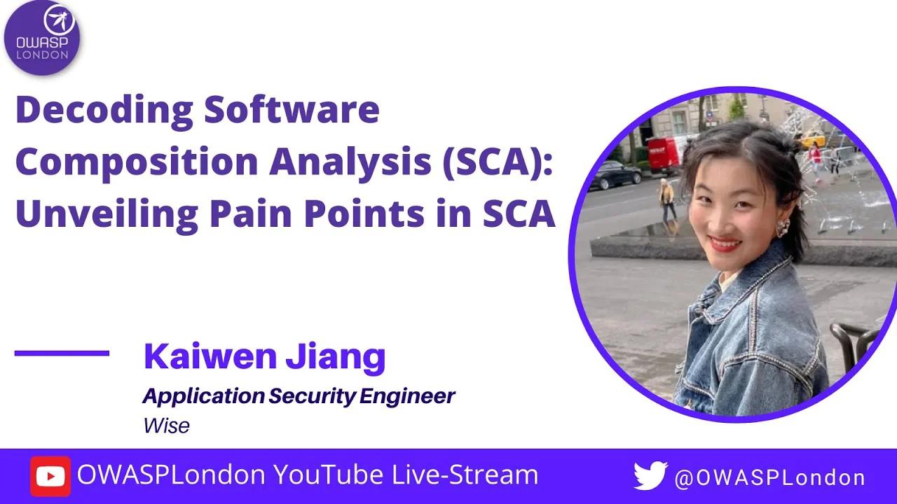 Decoding Software Composition Analysis (SCA): Unveiling Pain Points in ...